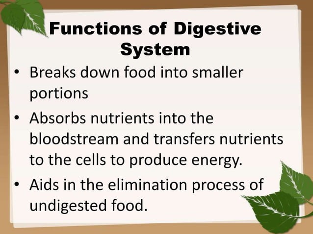 Functions of Digestive System.pptx