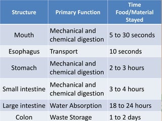 Functions of Digestive System.pptx