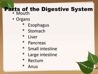 Functions of Digestive System.pptx