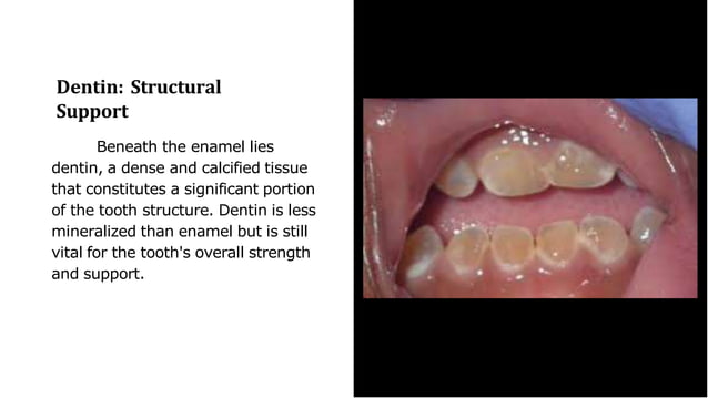 functions of each teeth layer dentestry.pptx