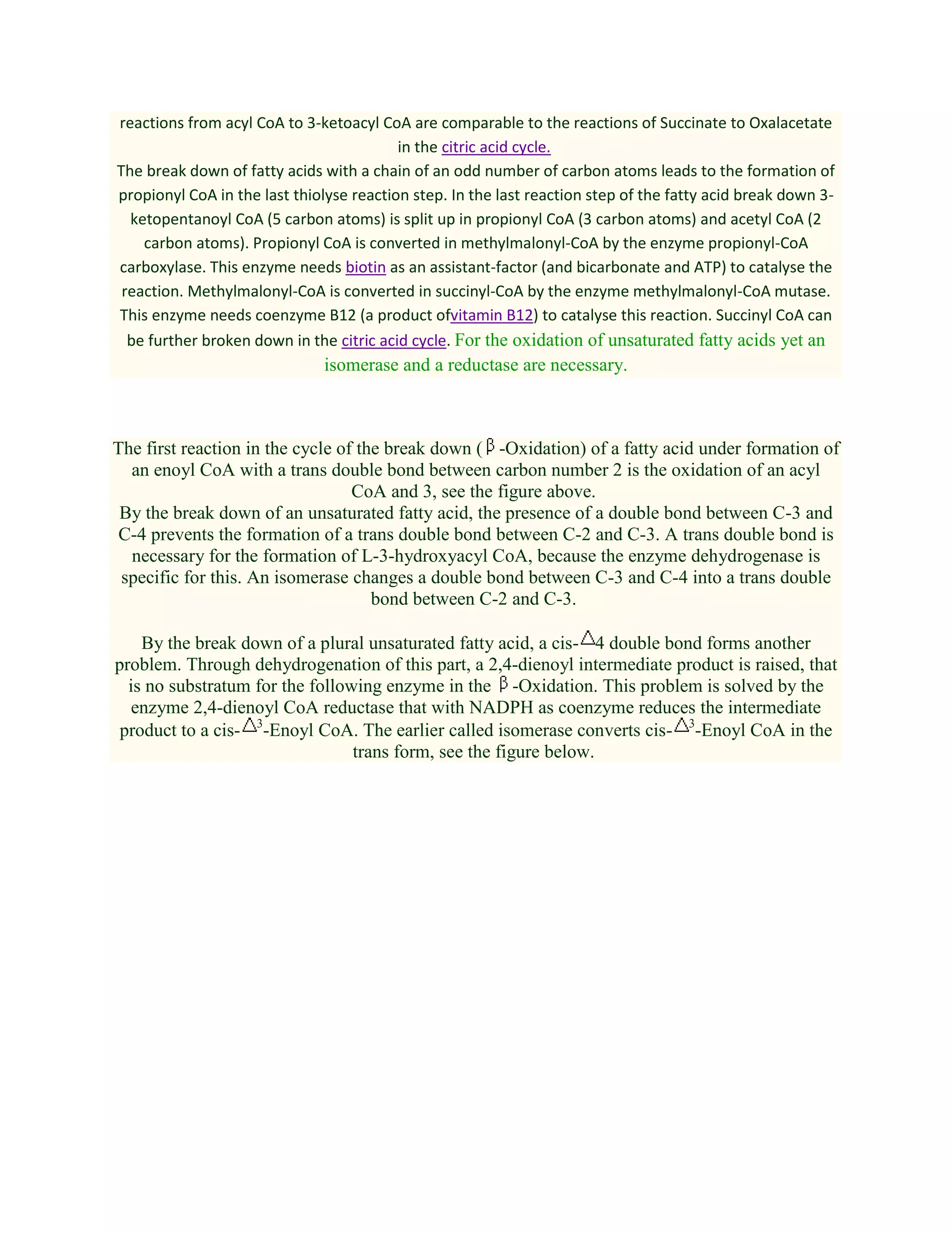 Functions of fatty acids | DOCX