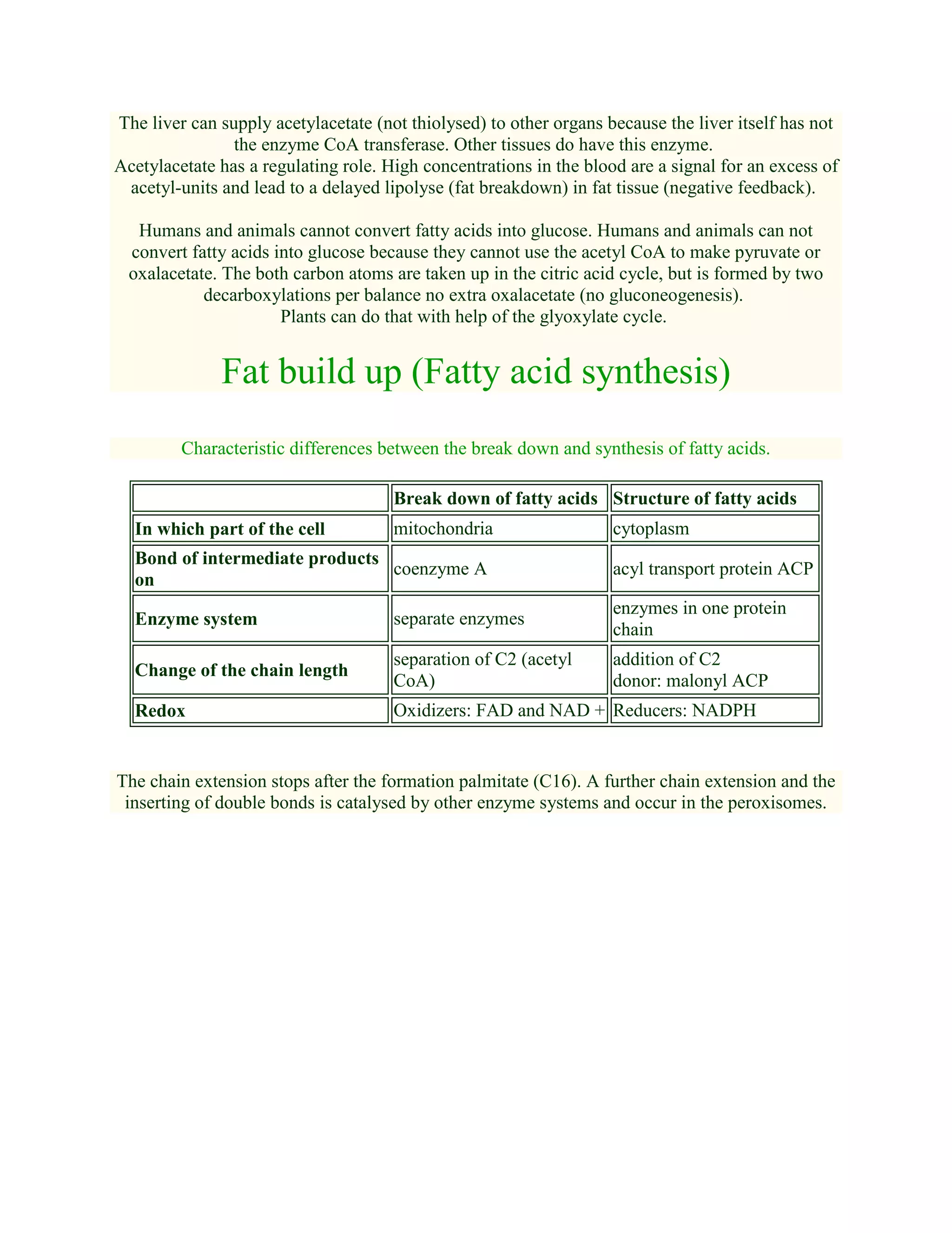 Functions of fatty acids | DOCX