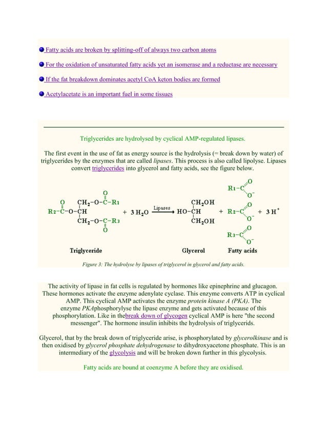 Functions of fatty acids | DOCX