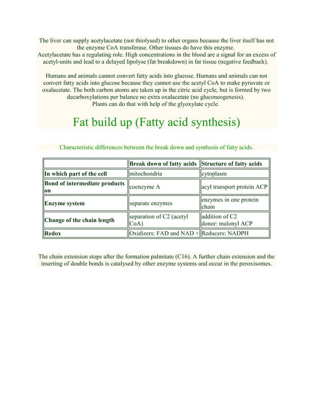 Functions of fatty acids | DOCX
