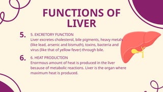 Functions of gall bladder and liver.pptx