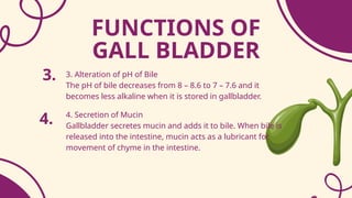 Functions of gall bladder and liver.pptx