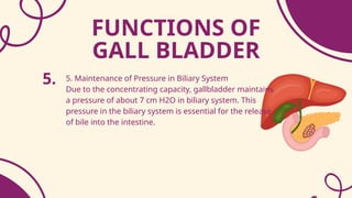 Functions of gall bladder and liver.pptx