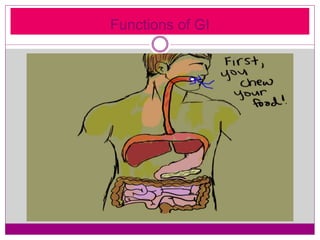 Functions of gastrointestinal tract | PPTX