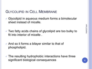 Functions of glycolipid | PPTX