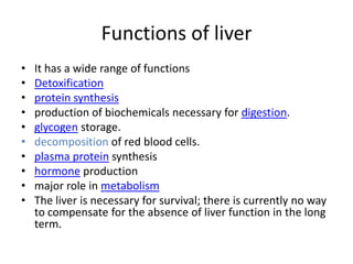 Functions of human liver | PPTX | Endocrine and Metabolic Diseases ...