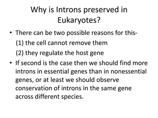 FUNCTIONS OF INTRONS.pptx