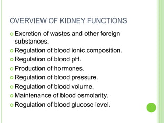 Functions of kidney | PPT