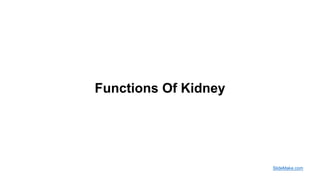 Functions Of Kidney.pptx