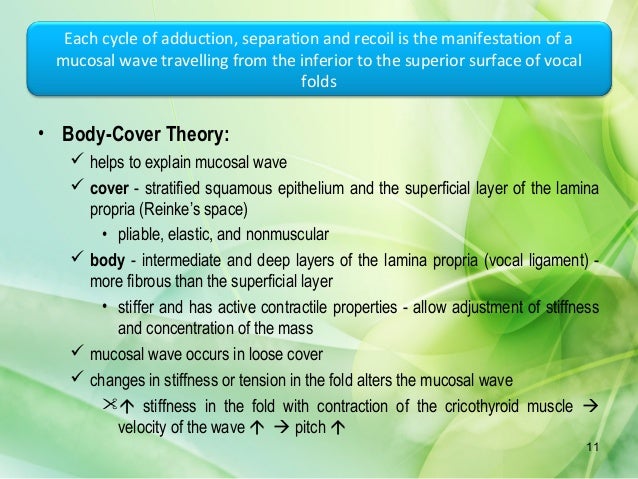 Functions of larynx