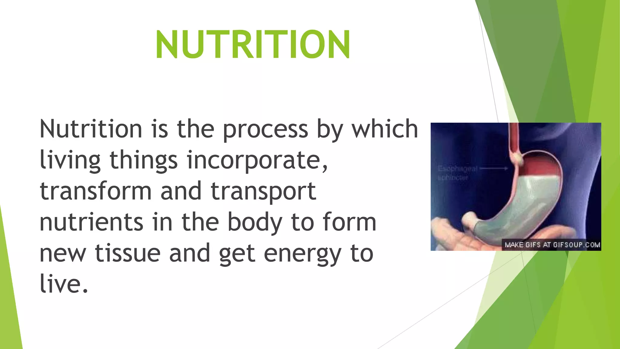 Functions of living things-Nutrition | PPTX