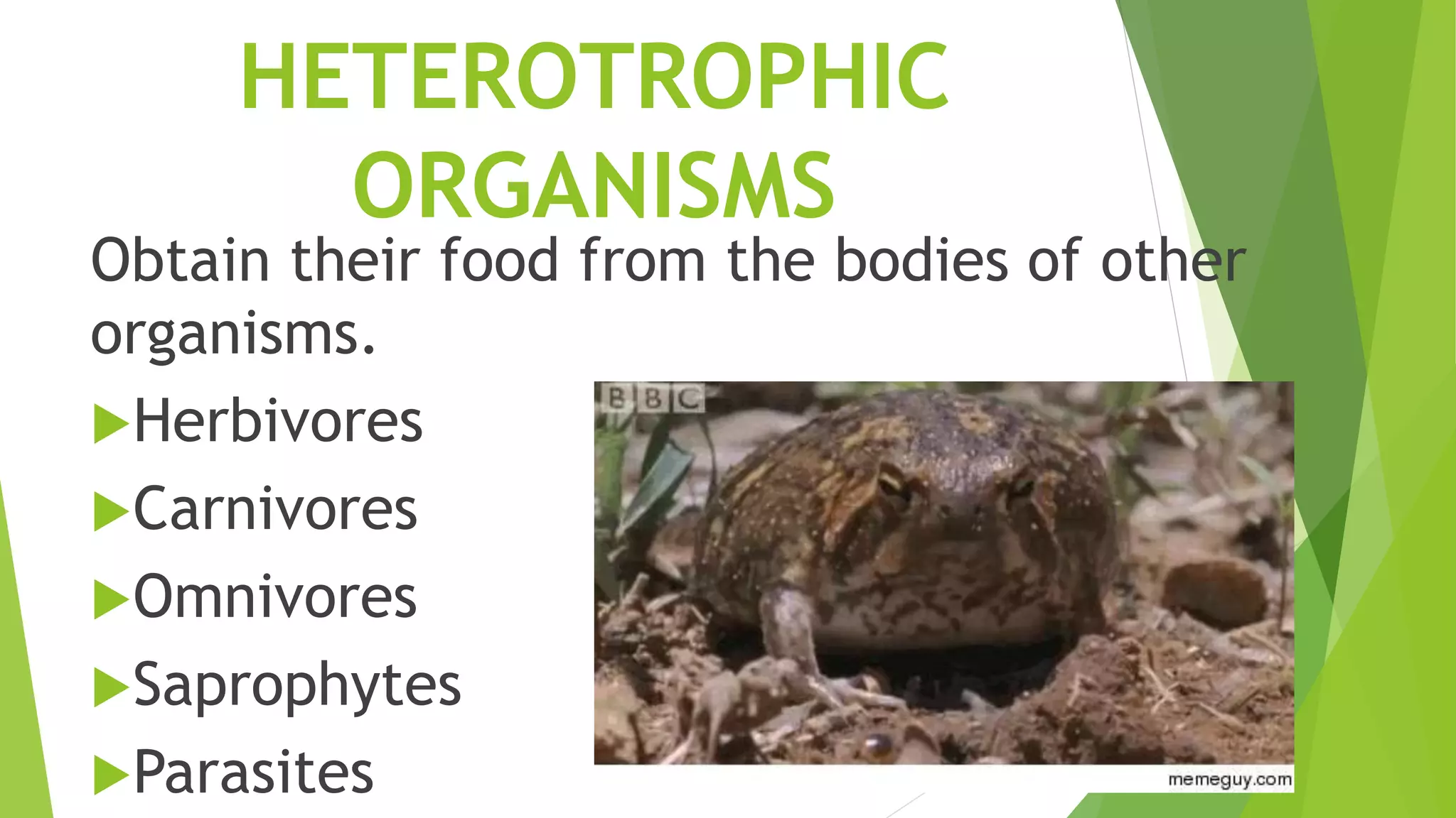 Functions of living things-Nutrition | PPTX