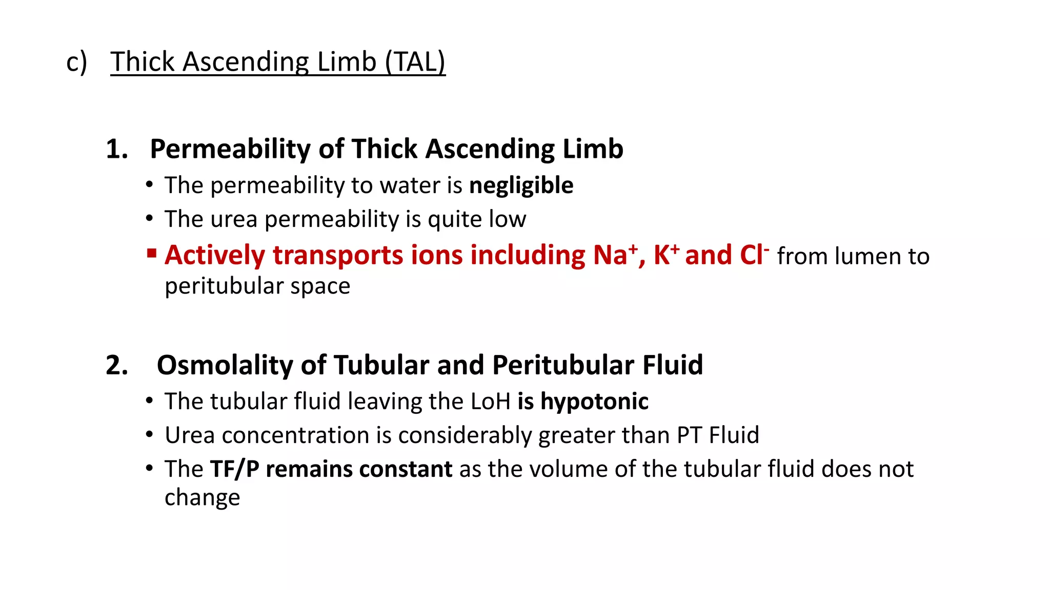 Functions of Loop of Henle | PPTX