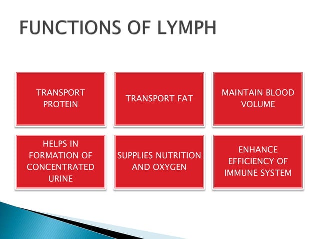 Functions of lymph | PPTX