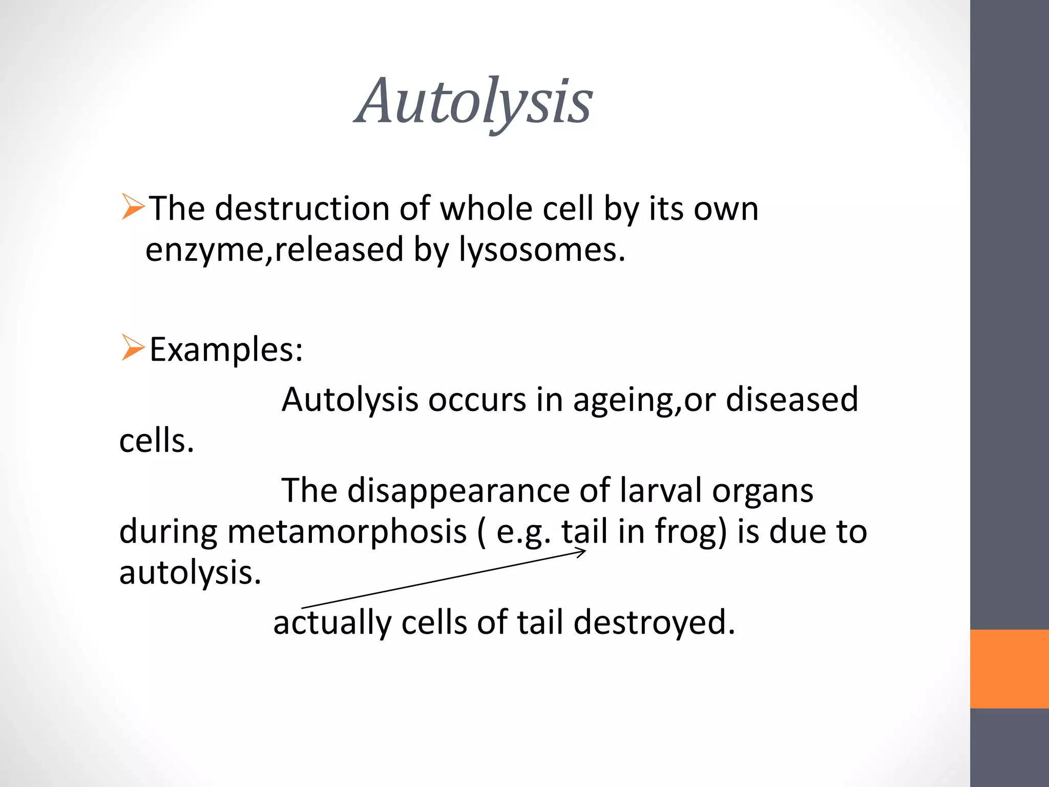 Functions of lysosomes.pptx