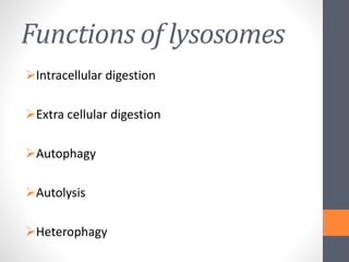 Functions of lysosomes.pptx