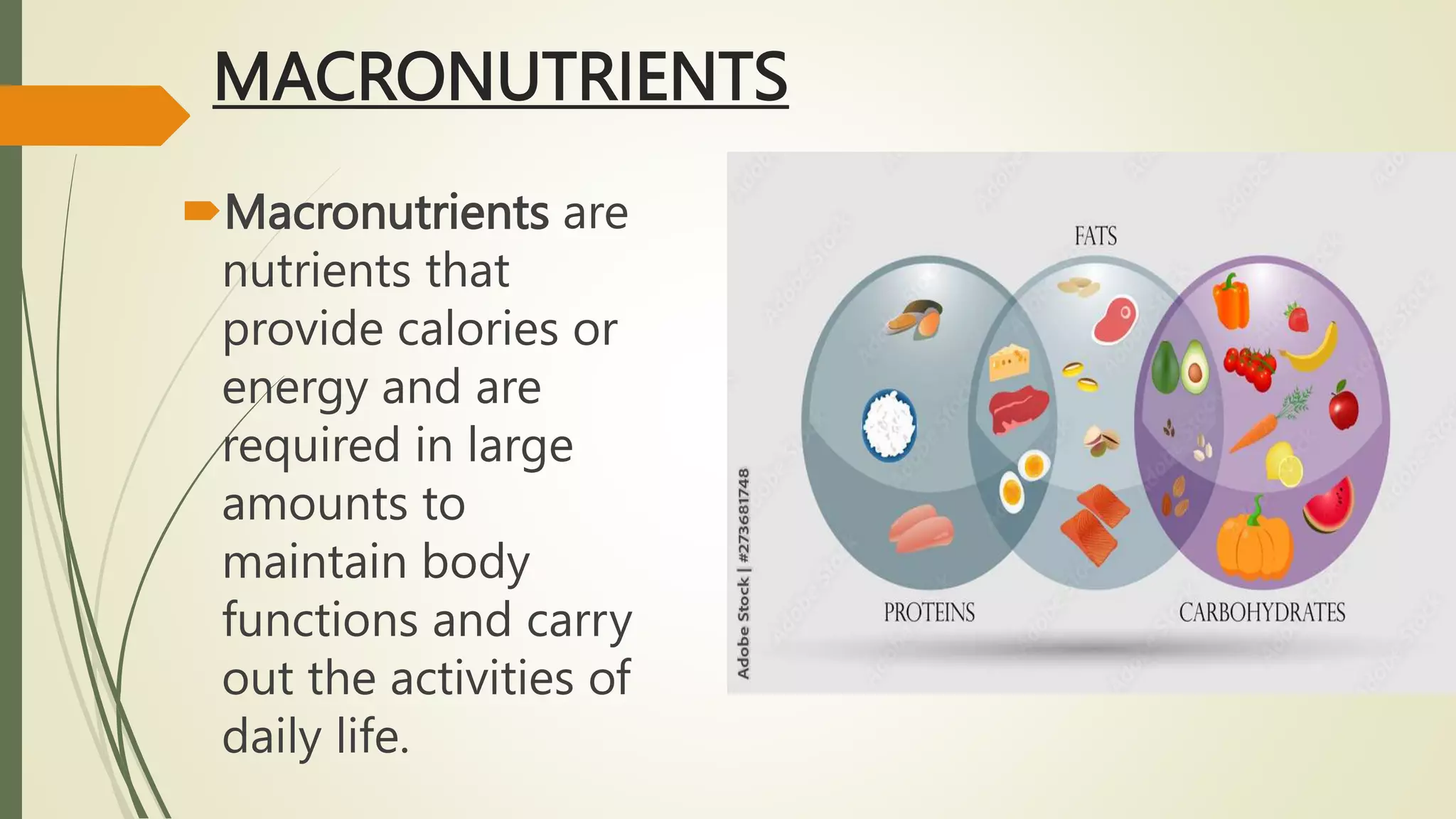 functions of micronutrients.pptx
