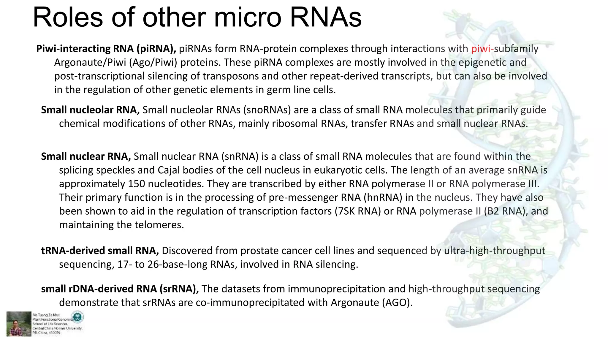Functions of micro RNA | PPTX