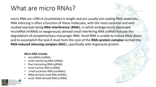 Functions of micro RNA | PPTX