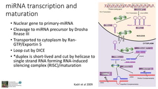 Functions of micro RNA | PPTX