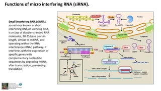 Functions of micro RNA | PPTX