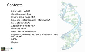 Functions of micro RNA | PPTX