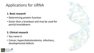 Functions of micro RNA | PPTX | Biological Sciences | Science