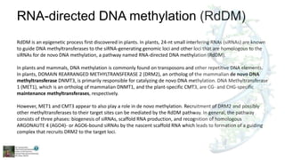 Functions of micro RNA | PPTX