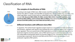Functions of micro RNA | PPTX