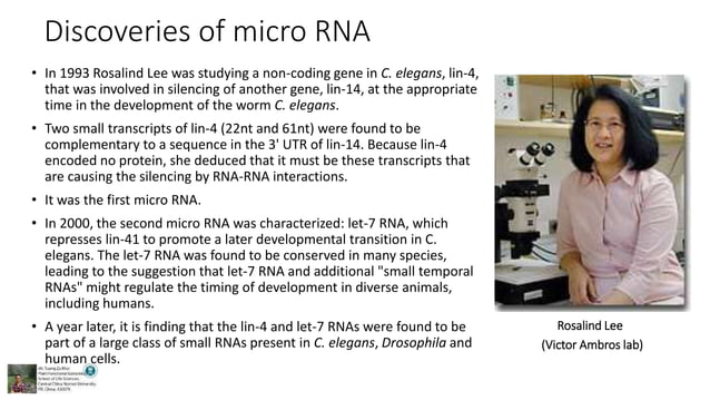 Functions of micro RNA | PPTX | Biological Sciences | Science