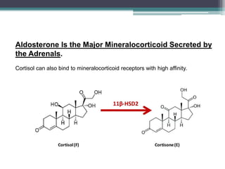 FUNCTIONS OF MINERALCORTICOIDS.pptx