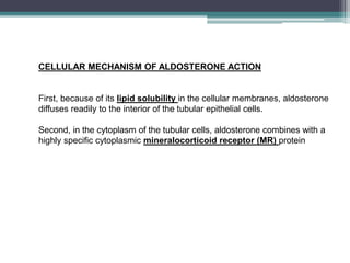 FUNCTIONS OF MINERALCORTICOIDS.pptx