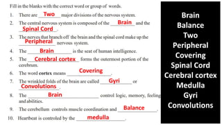 Functions of nervous system | PPTX | Brain and Nervous System Disorders ...