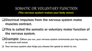 Functions of nervous system | PPTX | Brain and Nervous System Disorders ...