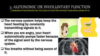 Functions of nervous system | PPTX | Brain and Nervous System Disorders ...