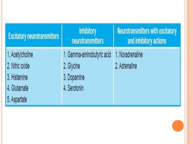 Functions of neurotransmitters and neuropeptides | PPTX
