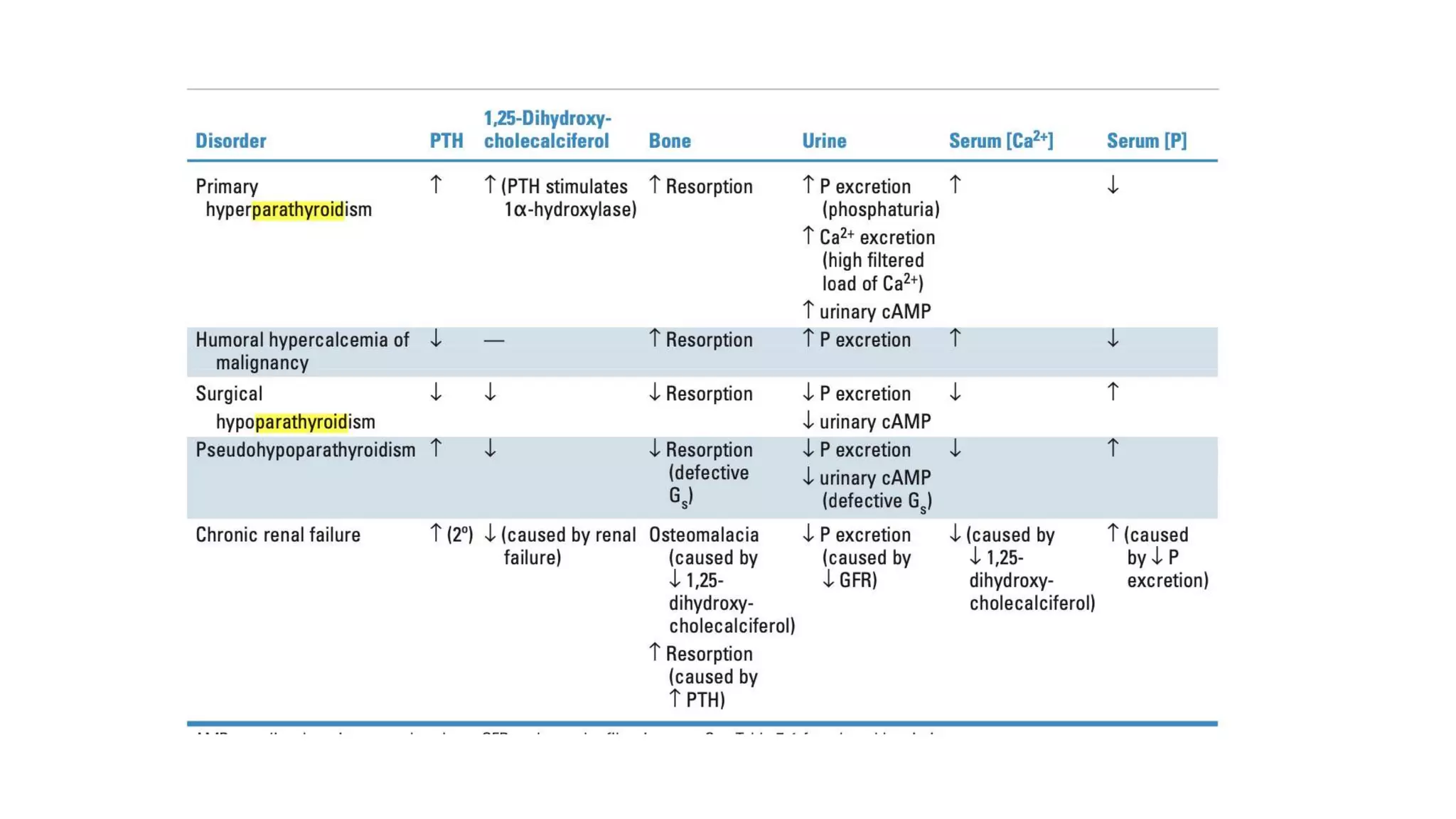 Functions Of Parathyroid Hormone Ppt