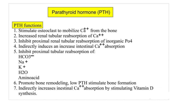 Functions of parathyroid hormone | PPT