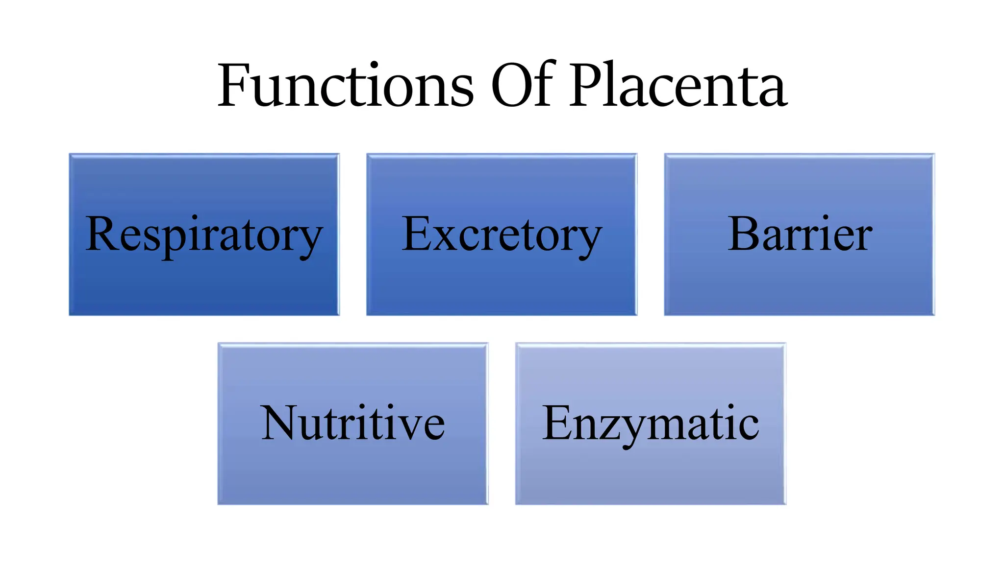Powerpoint presentation on Functions of placenta.pptx