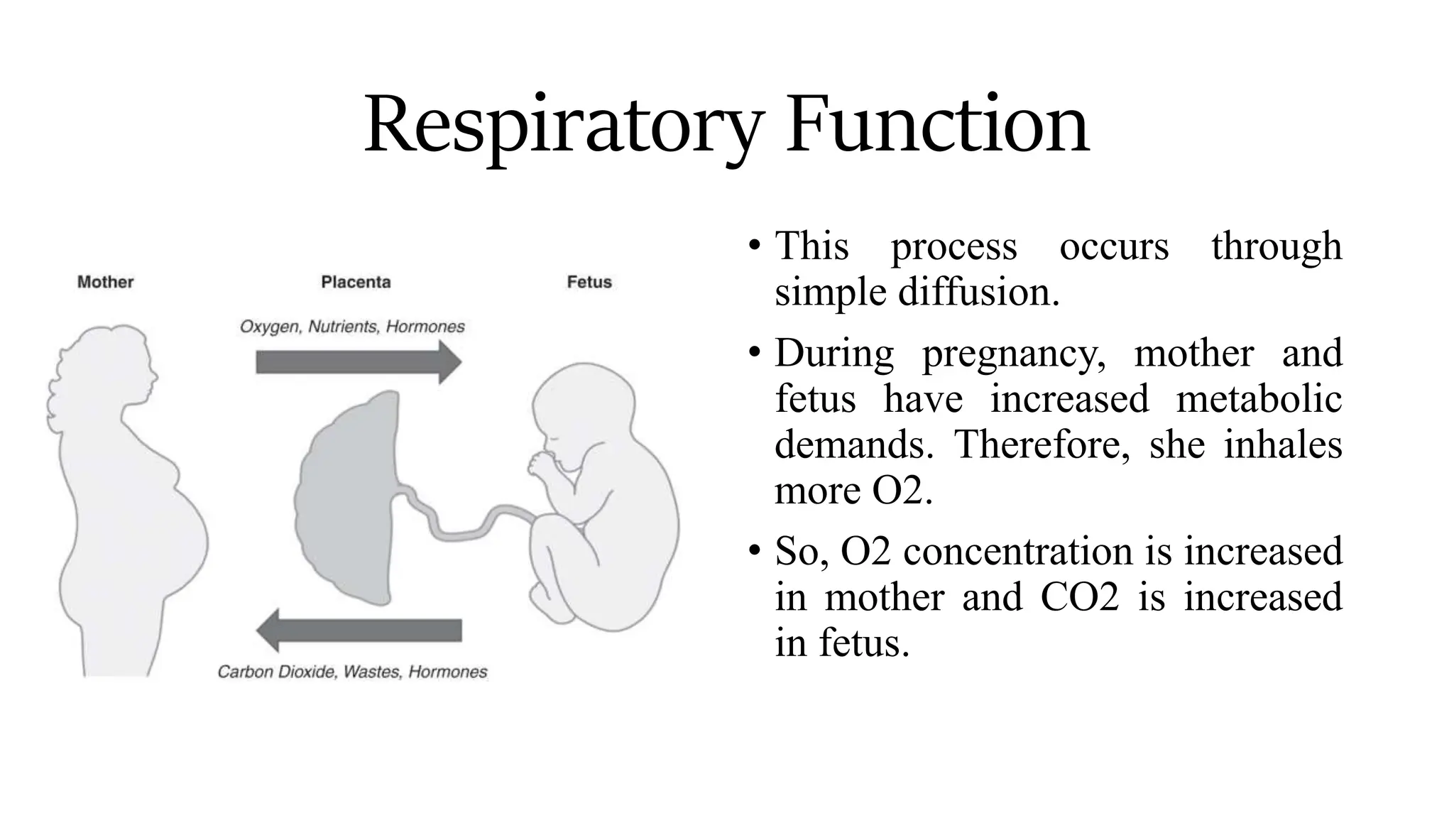 Powerpoint presentation on Functions of placenta.pptx