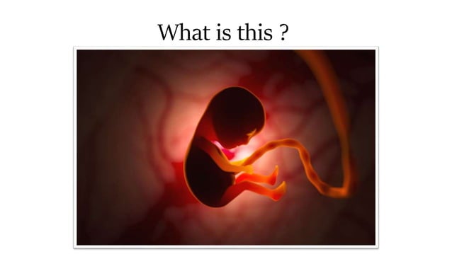 Powerpoint presentation on Functions of placenta.pptx