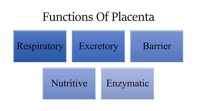 Powerpoint presentation on Functions of placenta.pptx