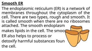 Parts and Functions of Animal and plant cells - Science 7 | PPTX