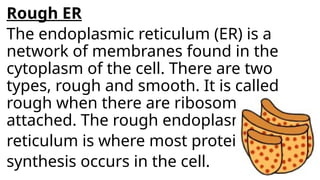 Parts and Functions of Animal and plant cells - Science 7 | PPT