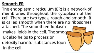 Parts and Functions of Animal and plant cells - Science 7 | PPTX
