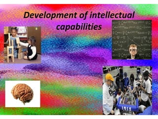 Functions of school | PPT
